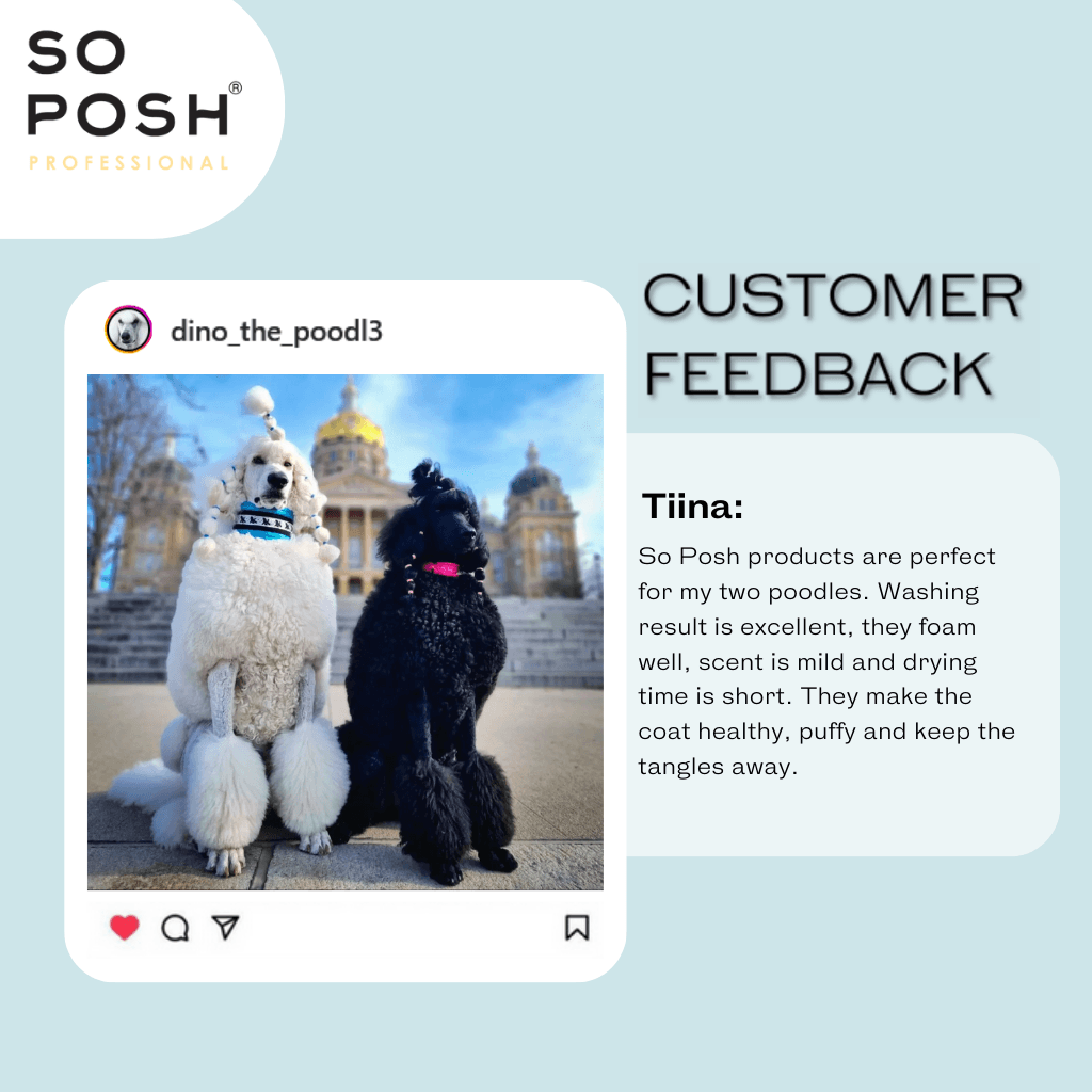 Puffy Coats – So Posh