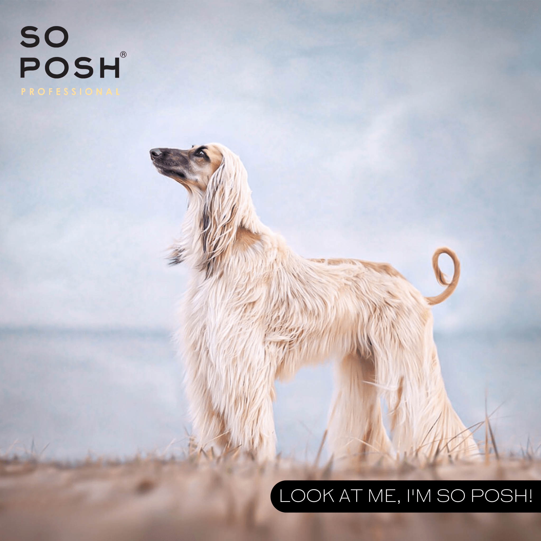 Puffy Coats – So Posh