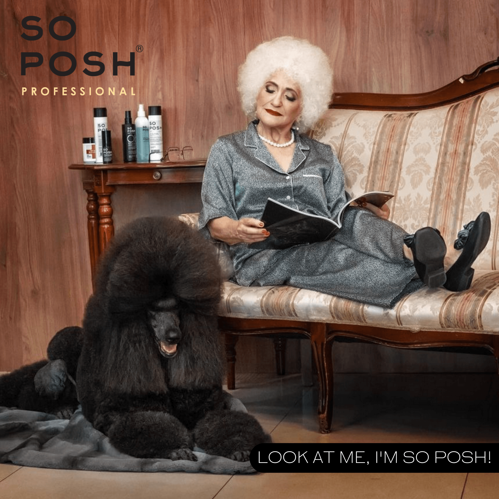 SO POSH - So Black Shampoo – So Posh